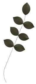 Evergreen Design Series | KitchenAid