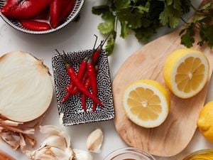 how to steam fish in microwave oven