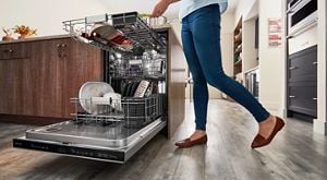 Dishwasher Not Getting Water: Possible Causes and Fixes | KitchenAid