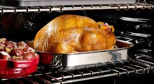 basting turkey